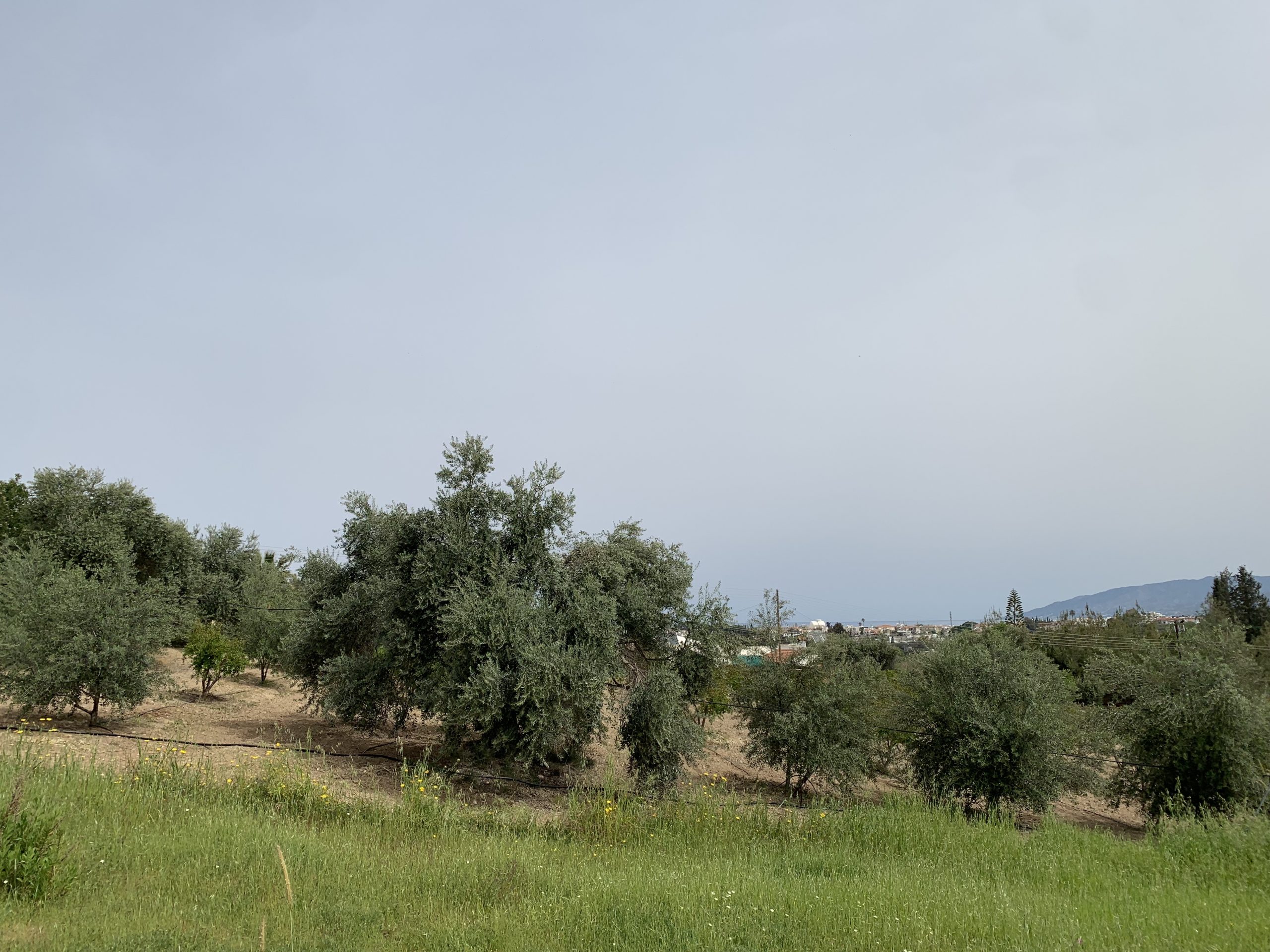 Residential plot with nice sea and mountain view in Prodromi, Paphos ...